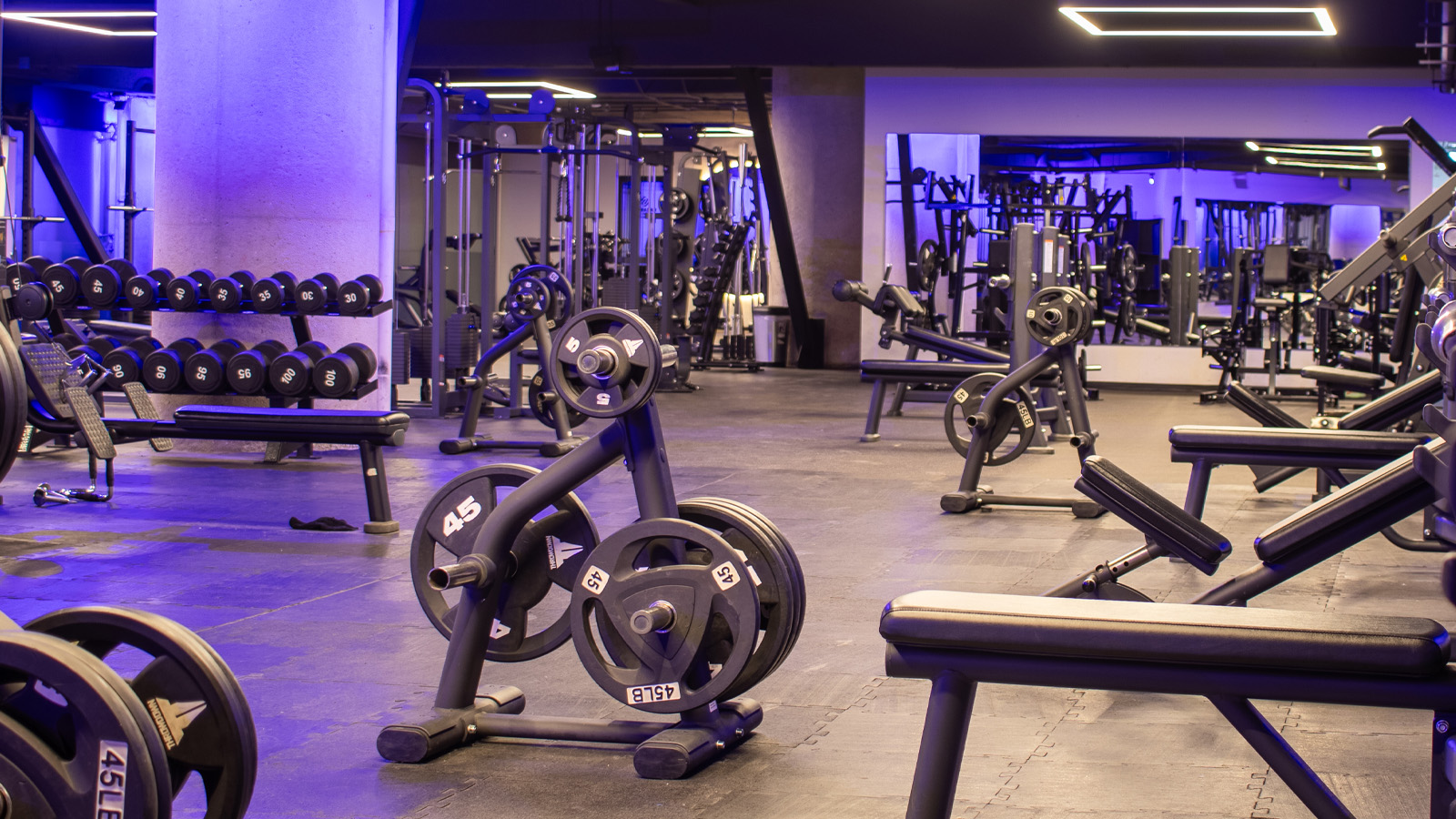 Fitsi Interlomas | Gimnasio en Huixquilucan, Edo. de México